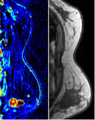 Womens Section - Diagnosis For All